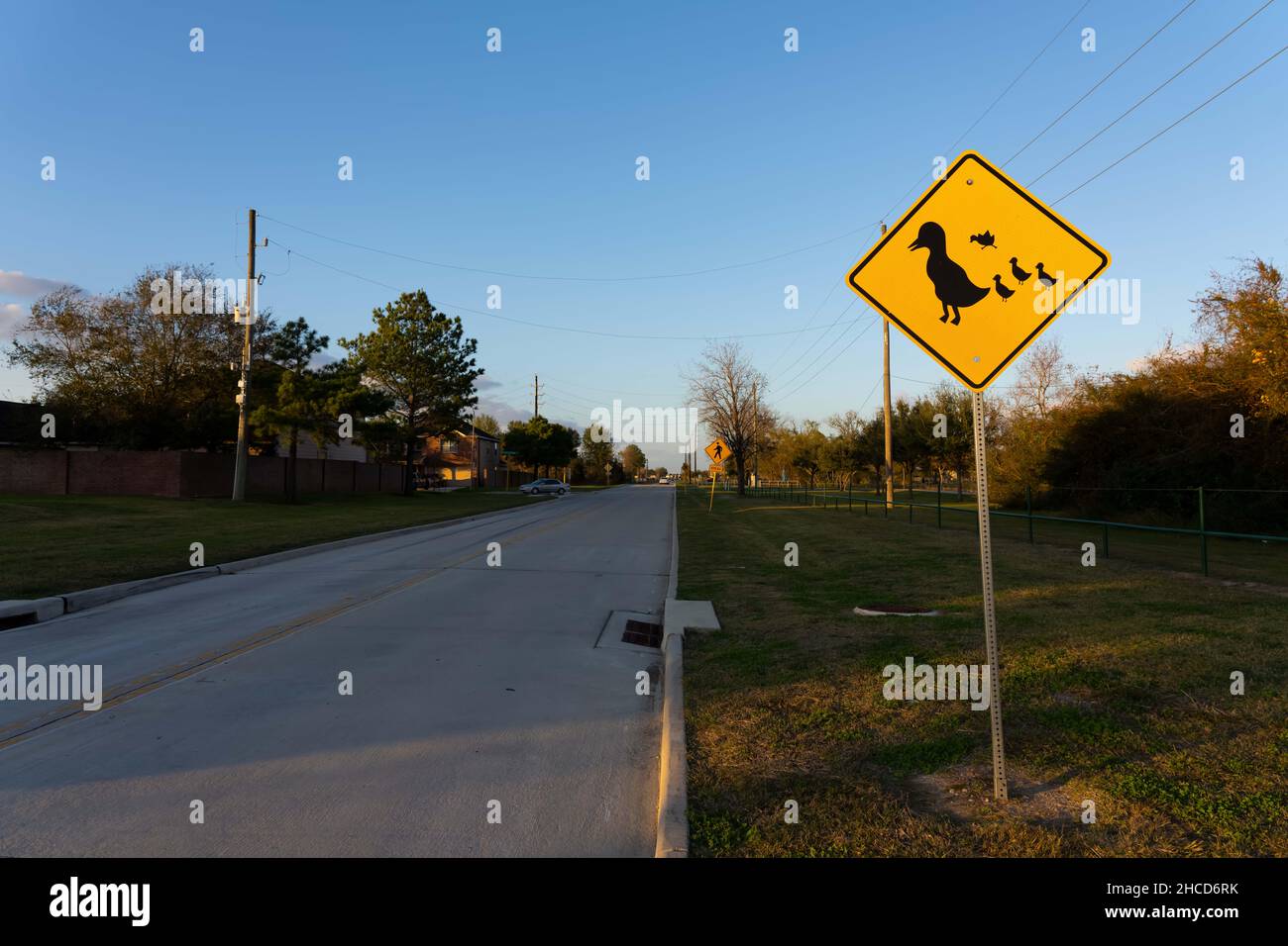 Duck zone warning sign shape of rhombus in back and yellow with duck ...