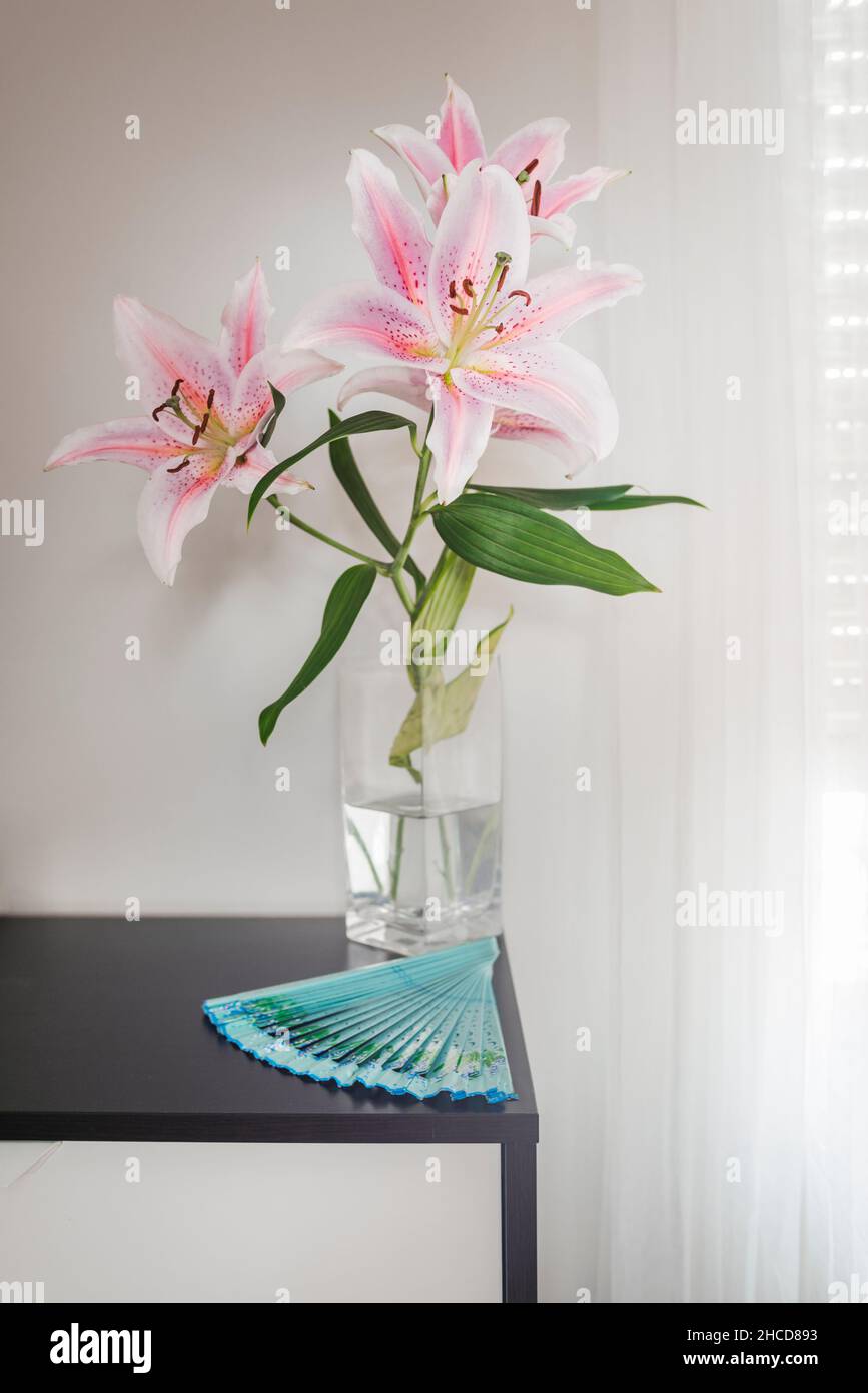 The Lilium species, called lilies or lilies, constitute a genus with ...