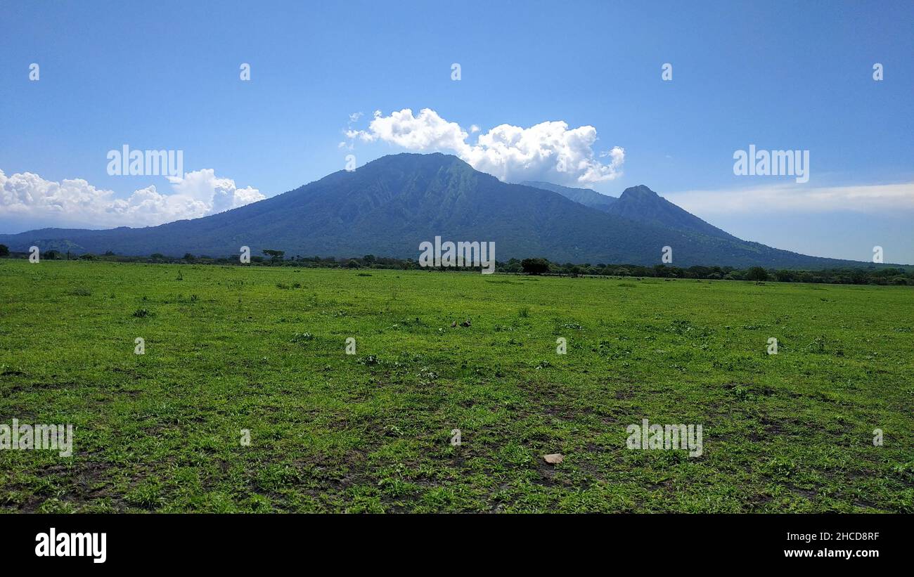 Baluran savanna national park is beautiful and famous in Indonesia ...