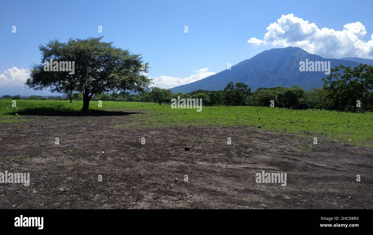 Baluran savanna national park is beautiful and famous in Indonesia ...