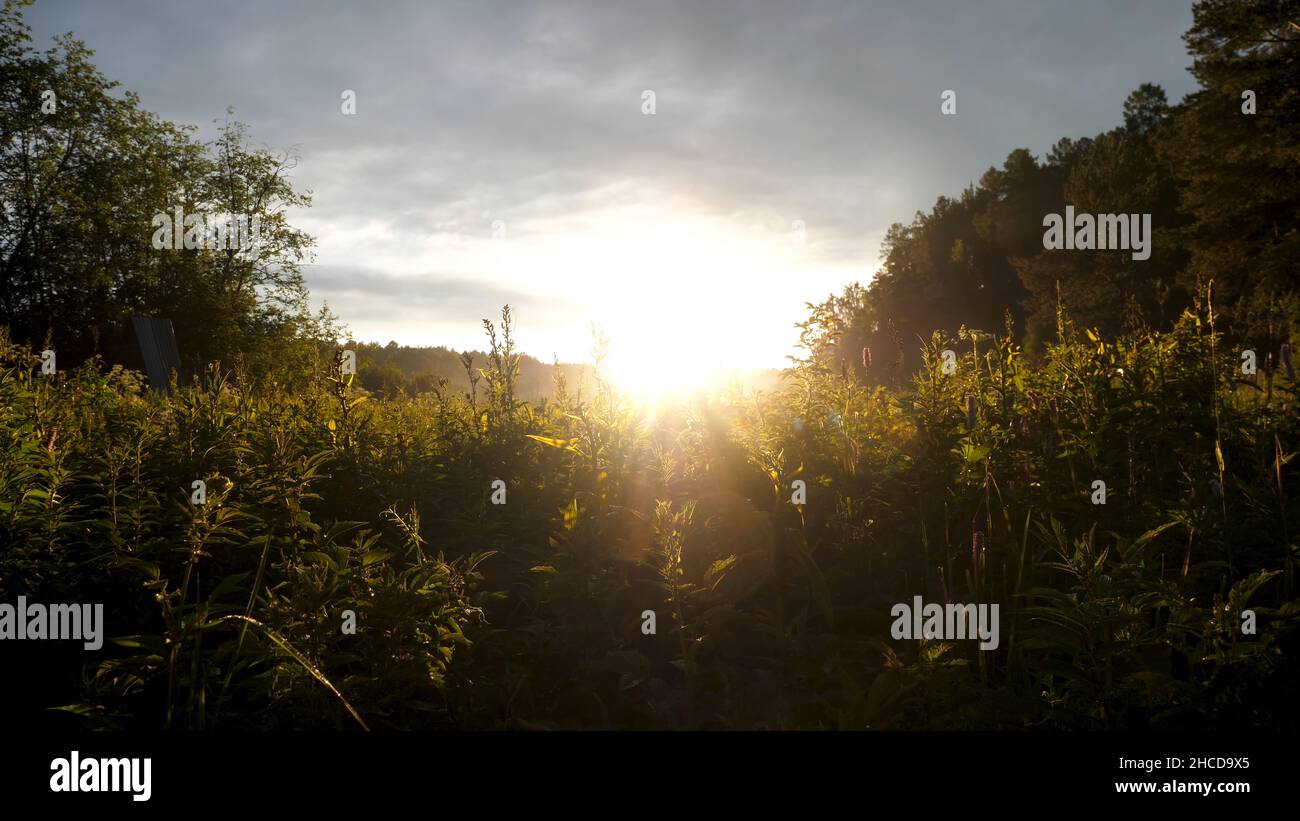 Camera moving through green grass hi-res stock photography and images ...