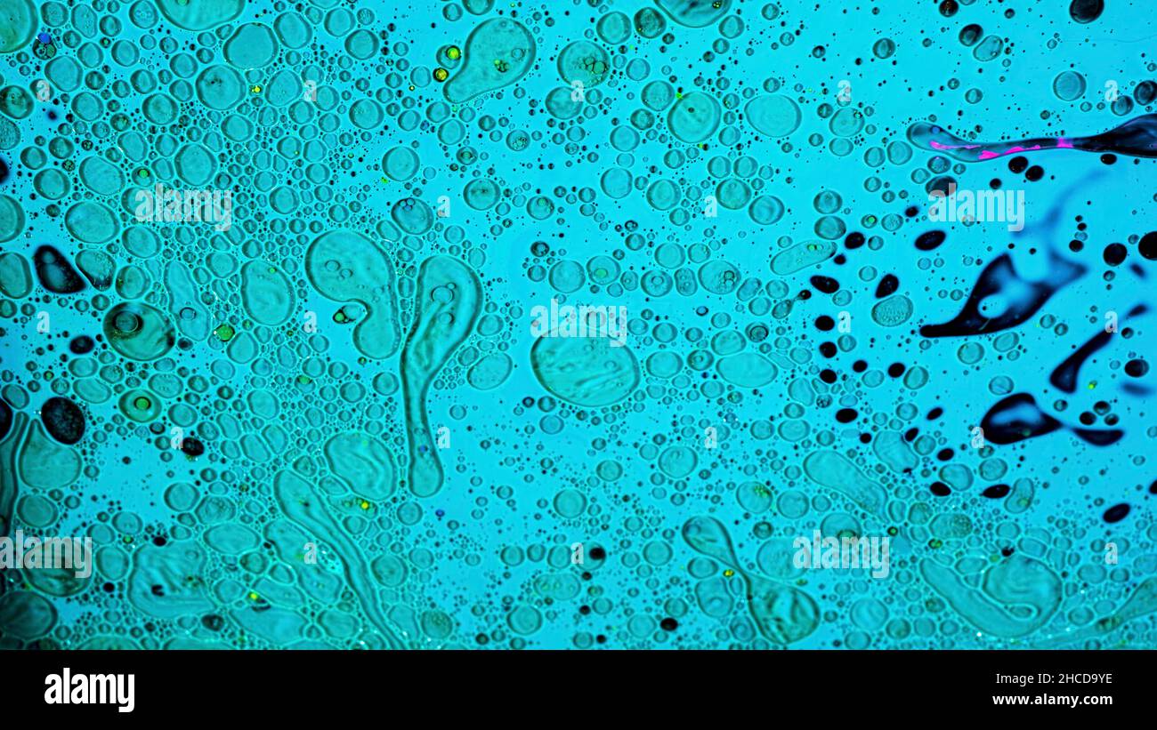Plague bacillus under microscope hi-res stock photography and images ...
