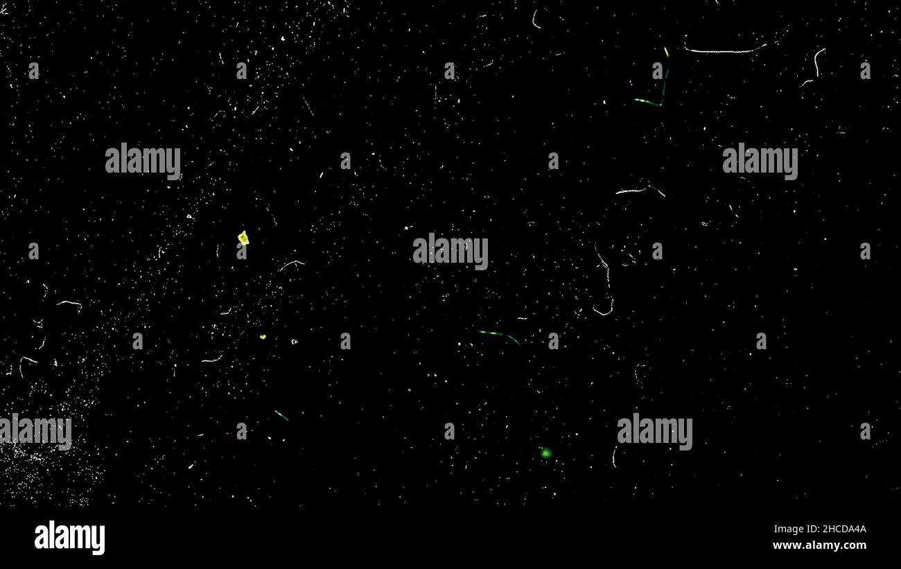 Moving through abstract fractal point matrix lattice. Moving infinite ...