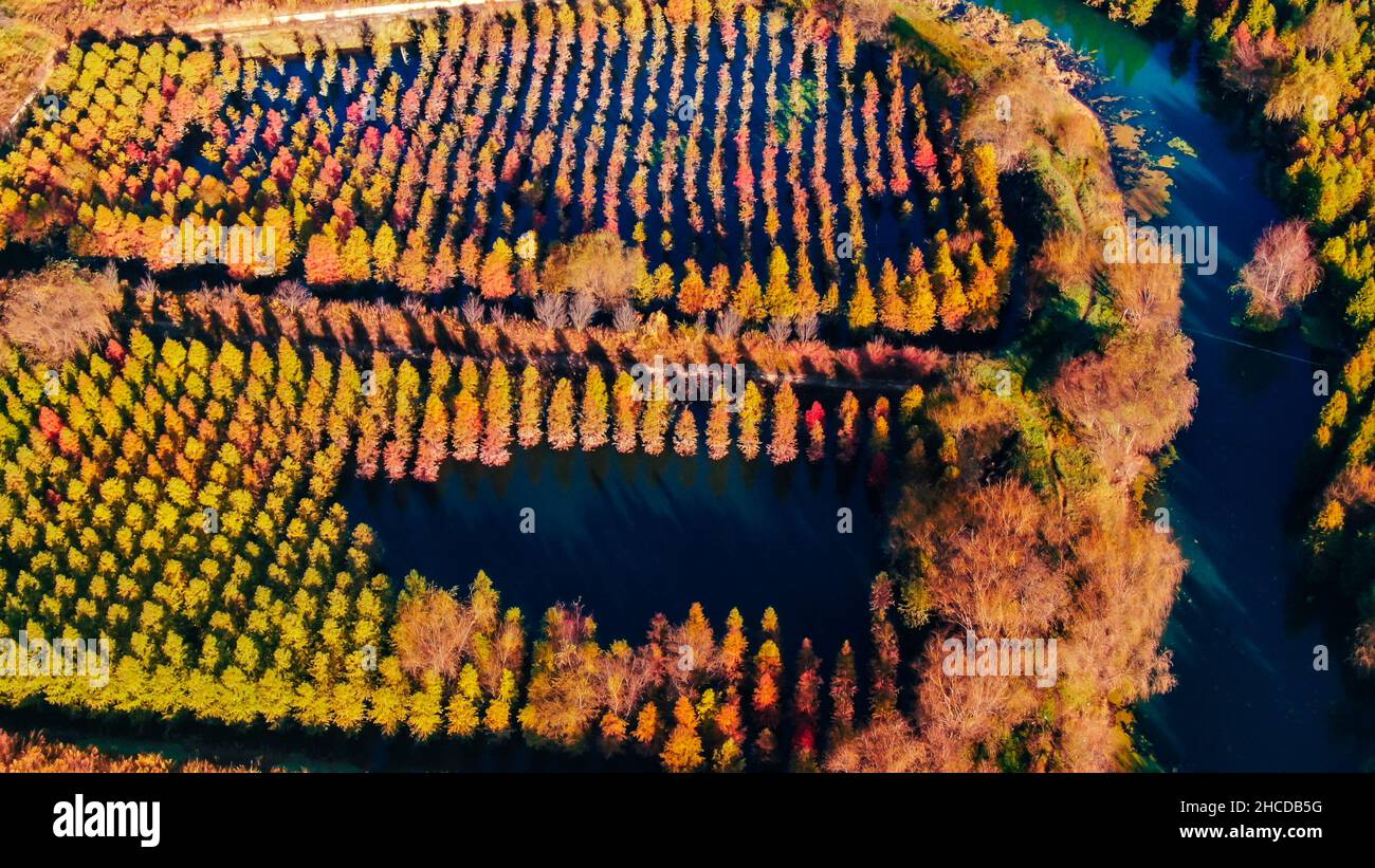 KUNMING, CHINA - NOVEMBER 7, 2021 - An aerial photo taken on Nov. 7 ...