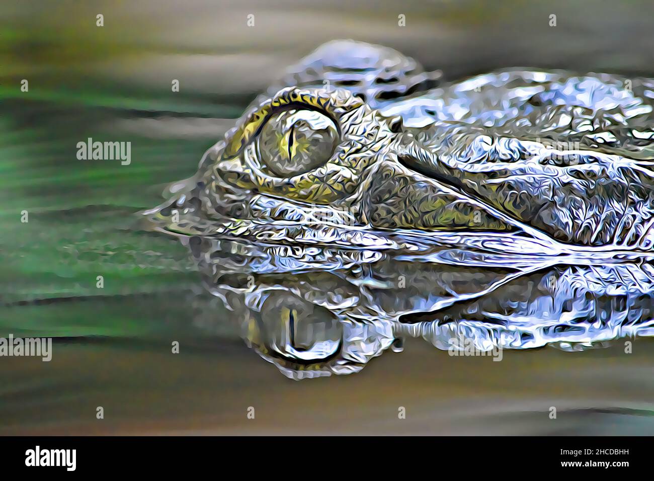 African Slender-Snouted Crocodile Submerged, Waiting Stock Photo - Alamy