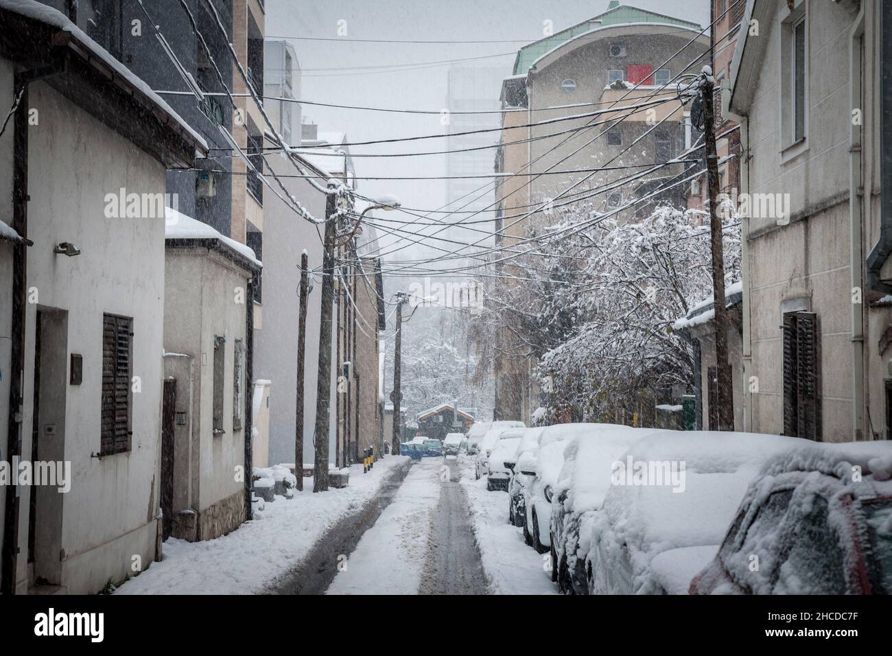 Picture of a belgrade street covered in snow during a snowstorm of ...