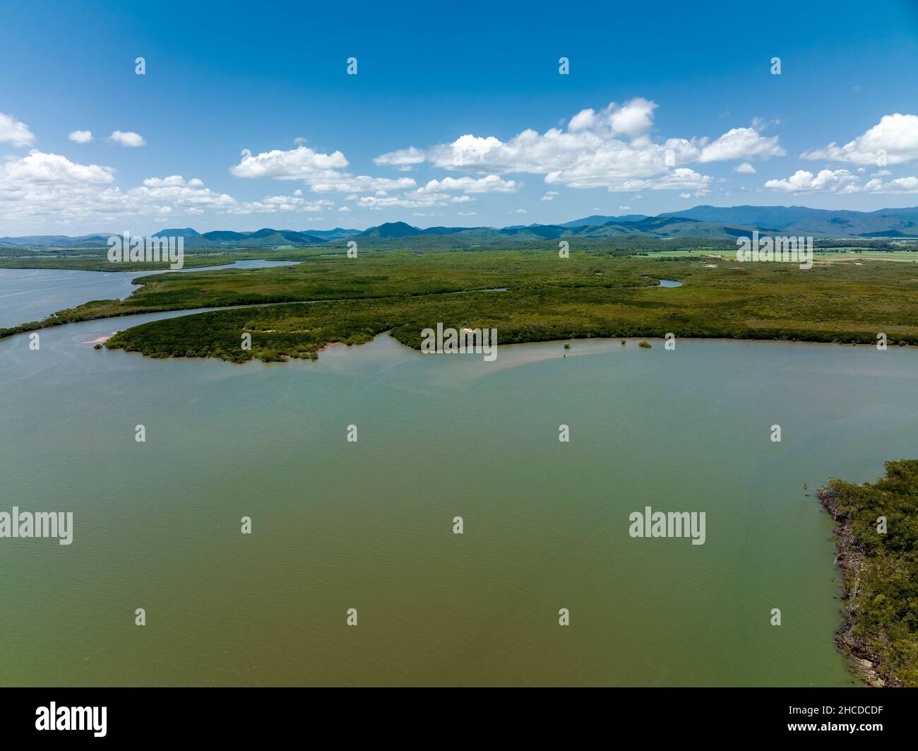 Aerial landscape of seawater flowing into a tidal creek surrounded by ...
