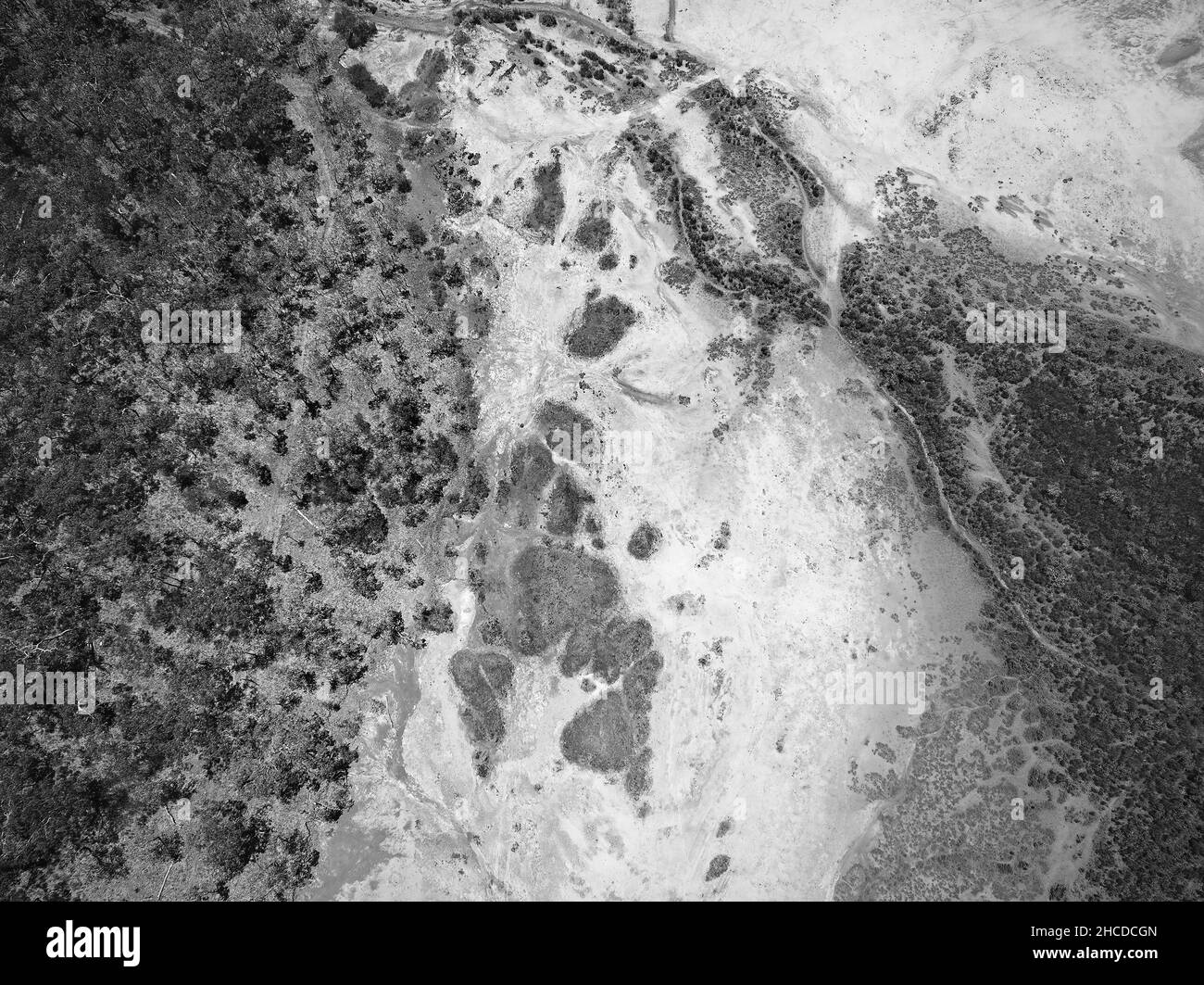 Monotone of drone aerial directly above salt pans at low tide Stock ...