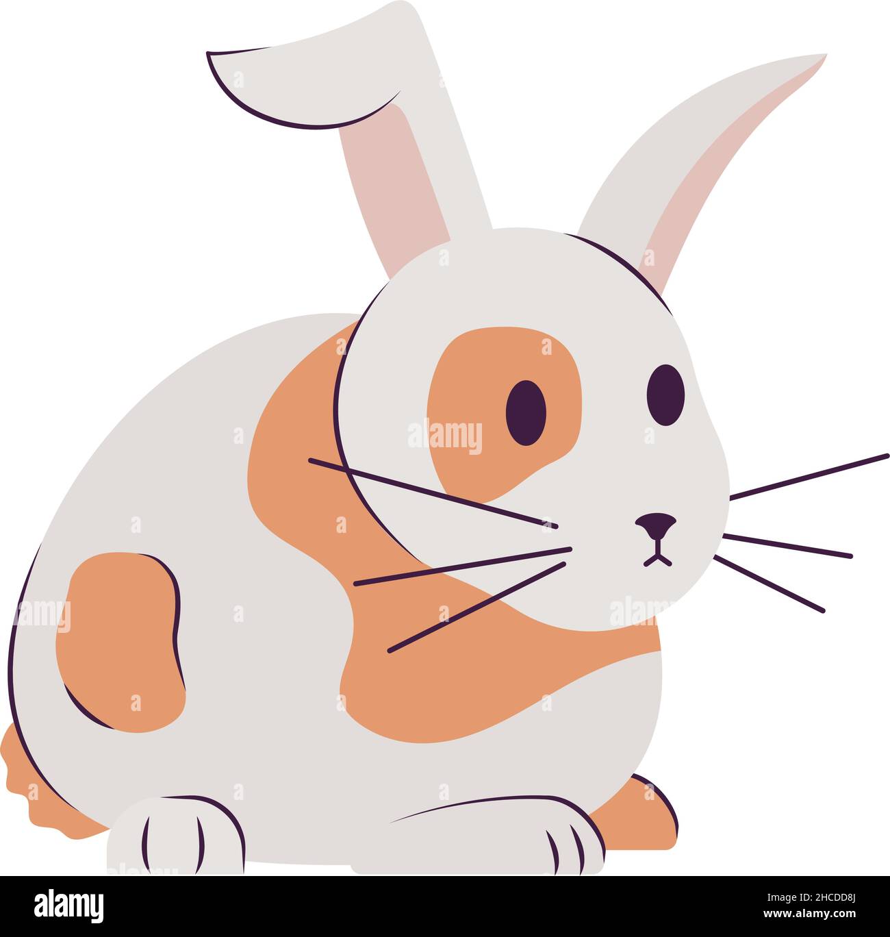 cute bunny design over white Stock Vector Image & Art - Alamy