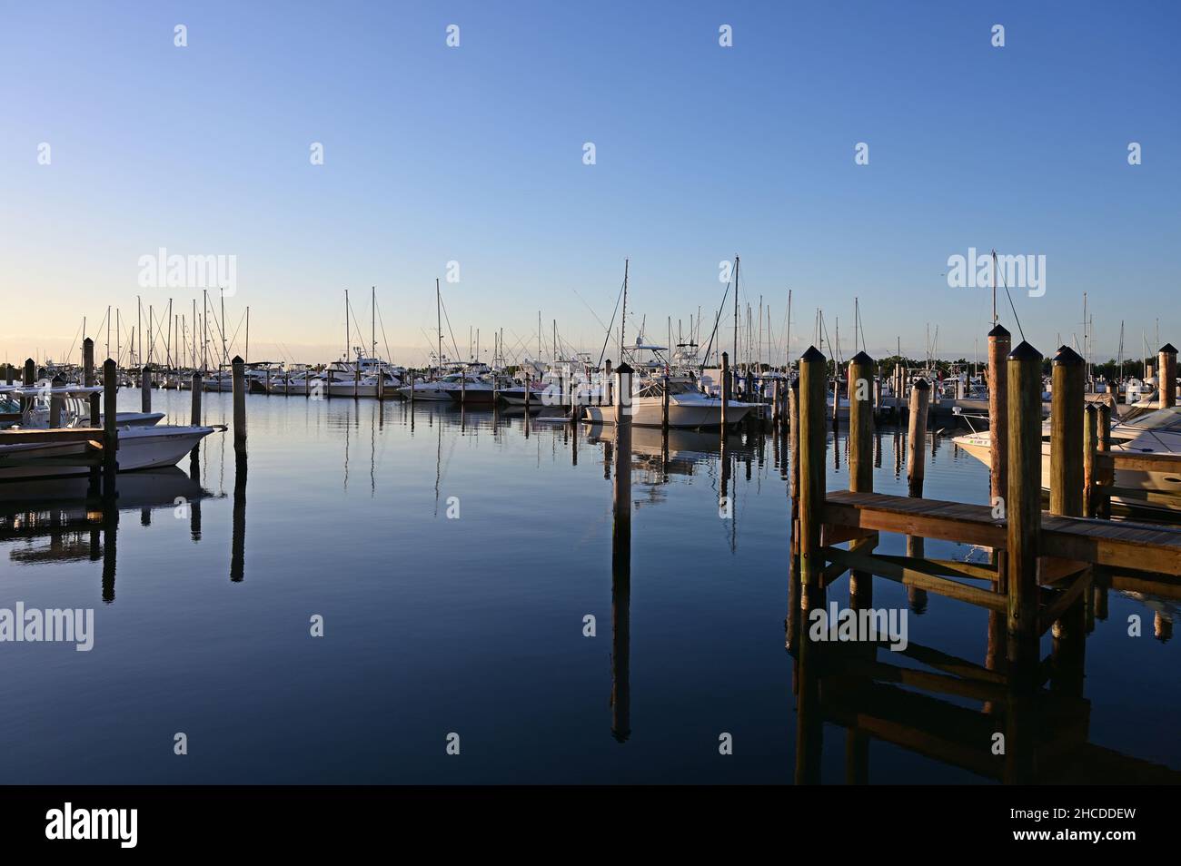 Boats and docks of Dinner Key Marina in Coconut Grove, Miami, Florida ...