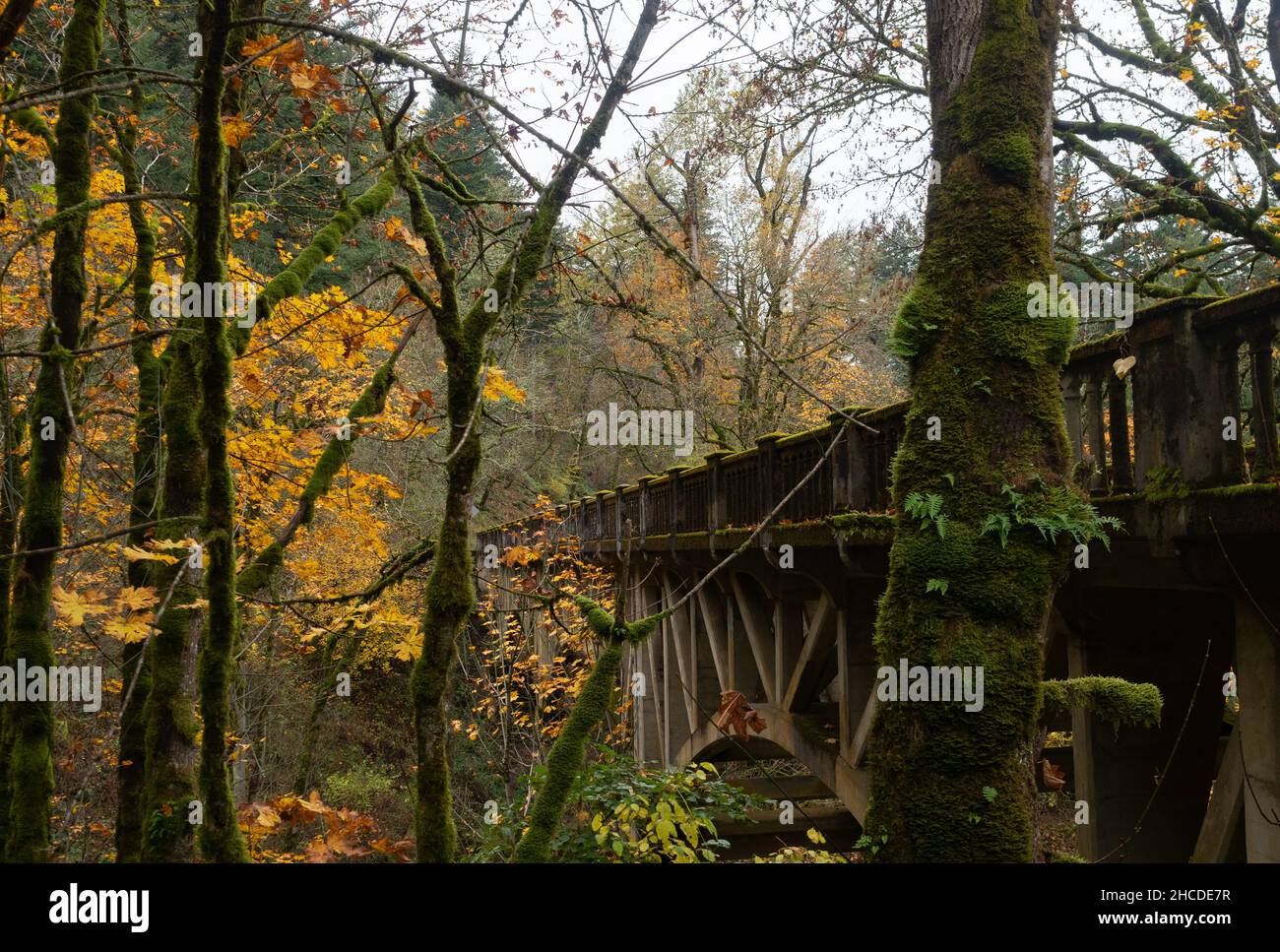 Moss covered bridge hi-res stock photography and images - Alamy
