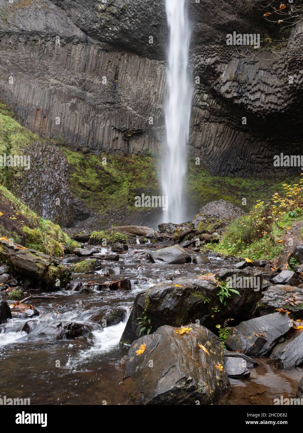Latourell Falls cascading over a columnar basalt rock ledge in Guy W ...