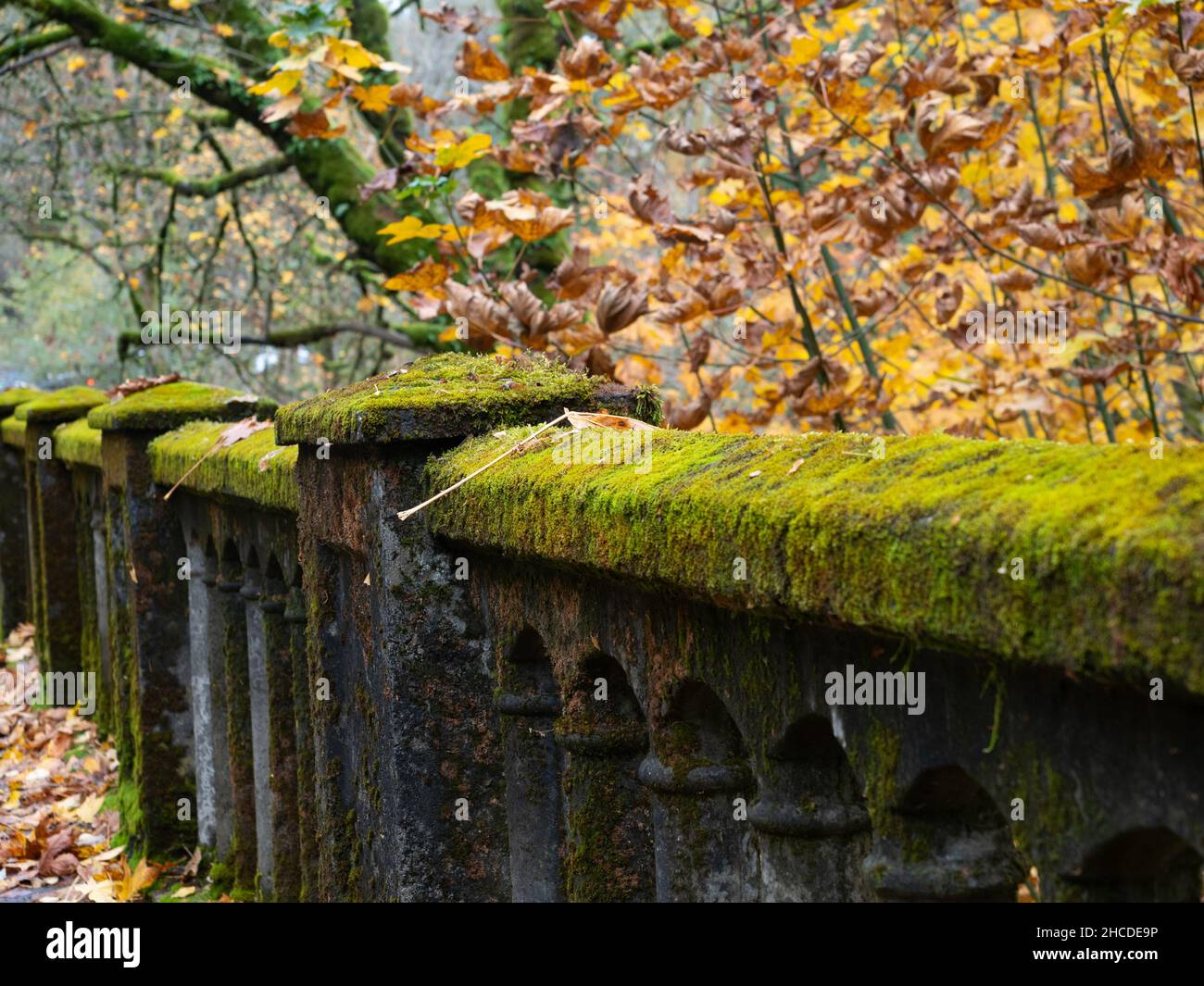 Moss-covered concrete bridge railing in the Columbia River Gorge in ...