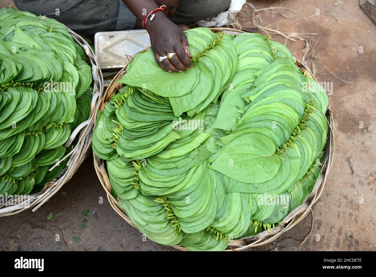 Betel Leaves Store