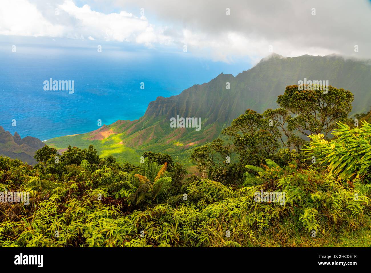 Natural view of the KokeÊ»e State Park in KauaÊ»i, USA under a gloomy ...