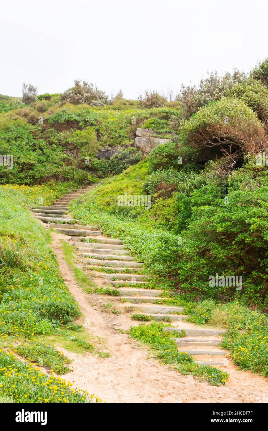 Lower steps from Turimetta Beach, one of Sydney's northern beaches ...