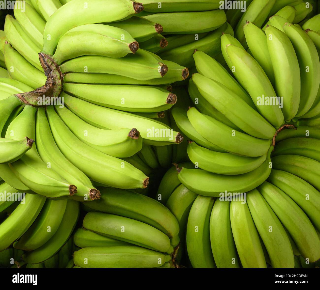 fresh unripe banana, harvested tropical fruit green background, closeup ...