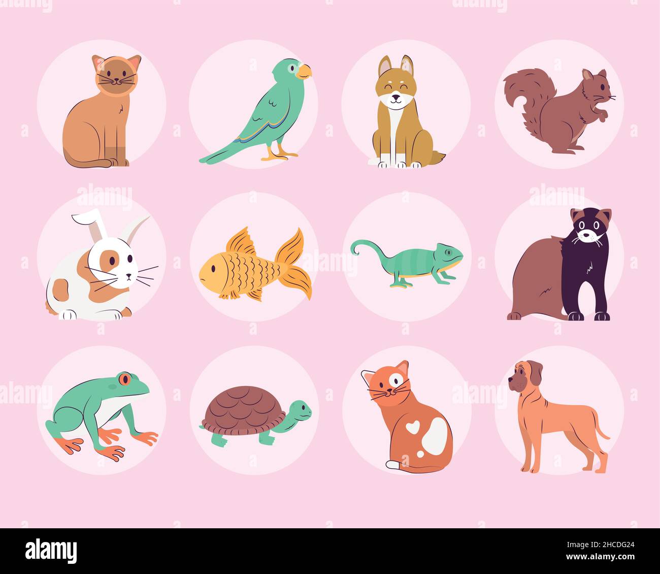 set of twelve cute pets Stock Vector Image & Art - Alamy