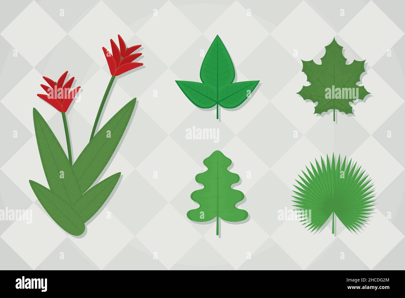 set of five green leaves Stock Vector Image & Art - Alamy