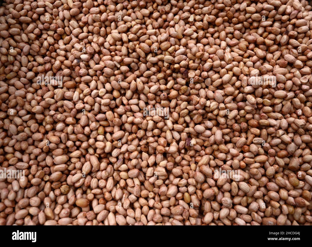 Peanuts india hi-res stock photography and images - Alamy