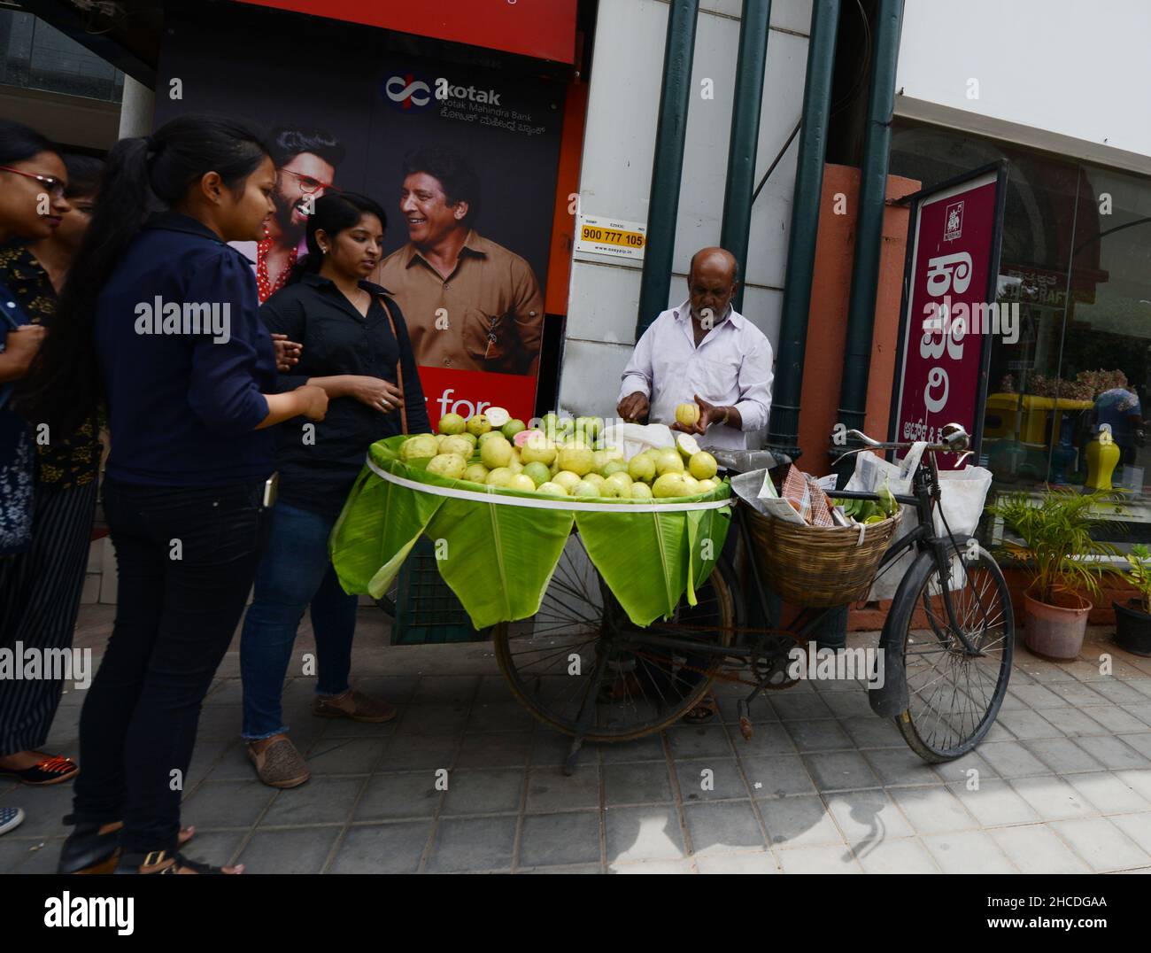 A mobile guava vendor in central Bangalore, India Stock Photo - Alamy