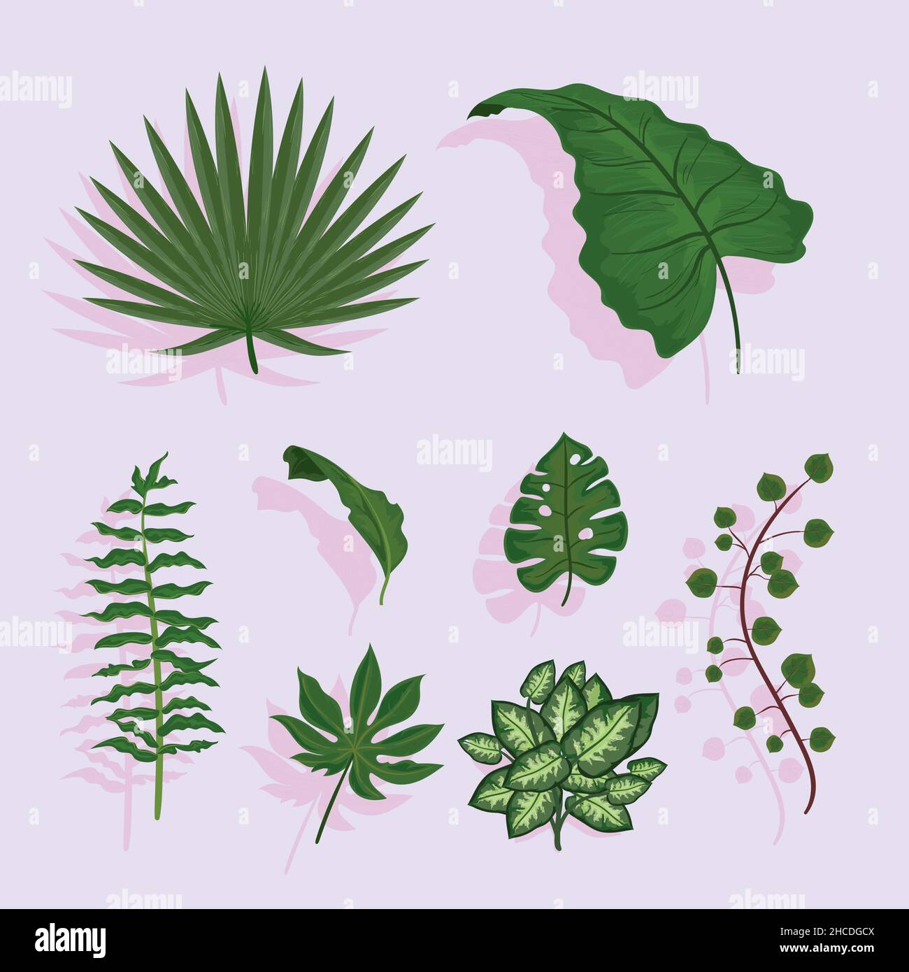 set of eight green leaves plants Stock Vector Image & Art - Alamy