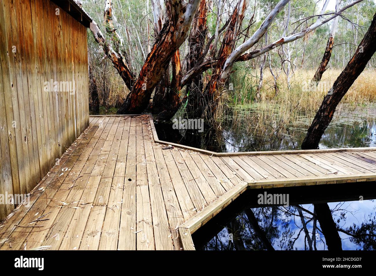 The Banrock Station Wetlands in the Riverland region of South Australia ...