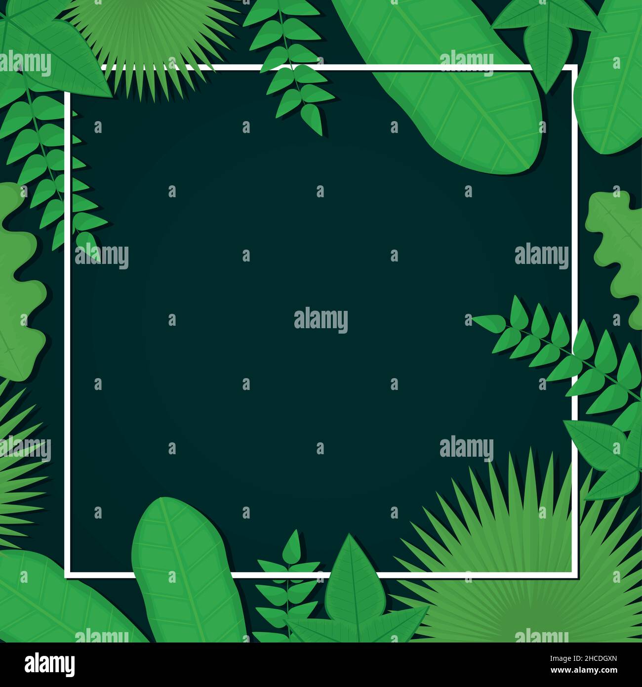 cute green leaves square frame Stock Vector Image & Art - Alamy