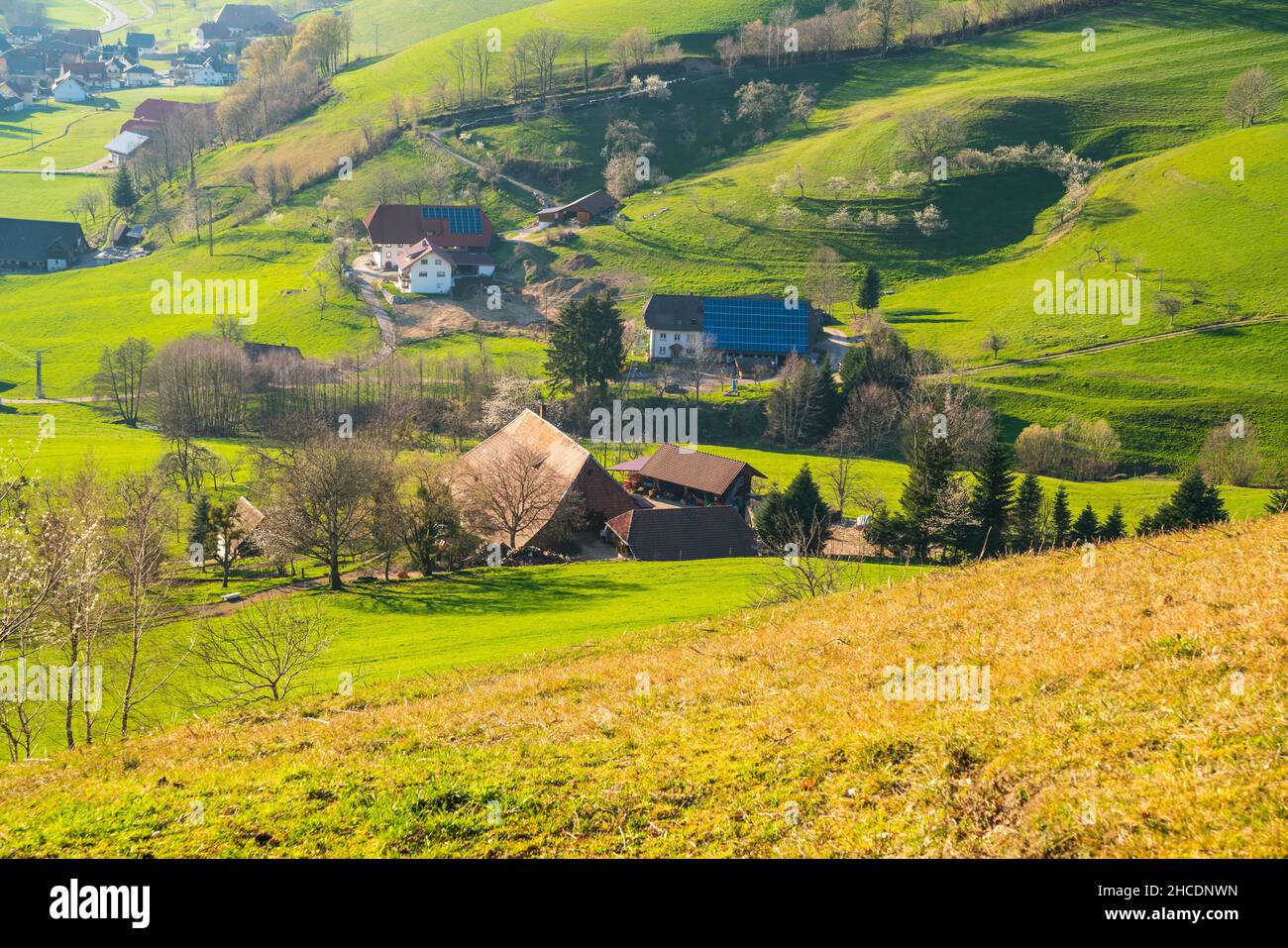Germany, black forest nature landscape view of rural farmhouses and ...
