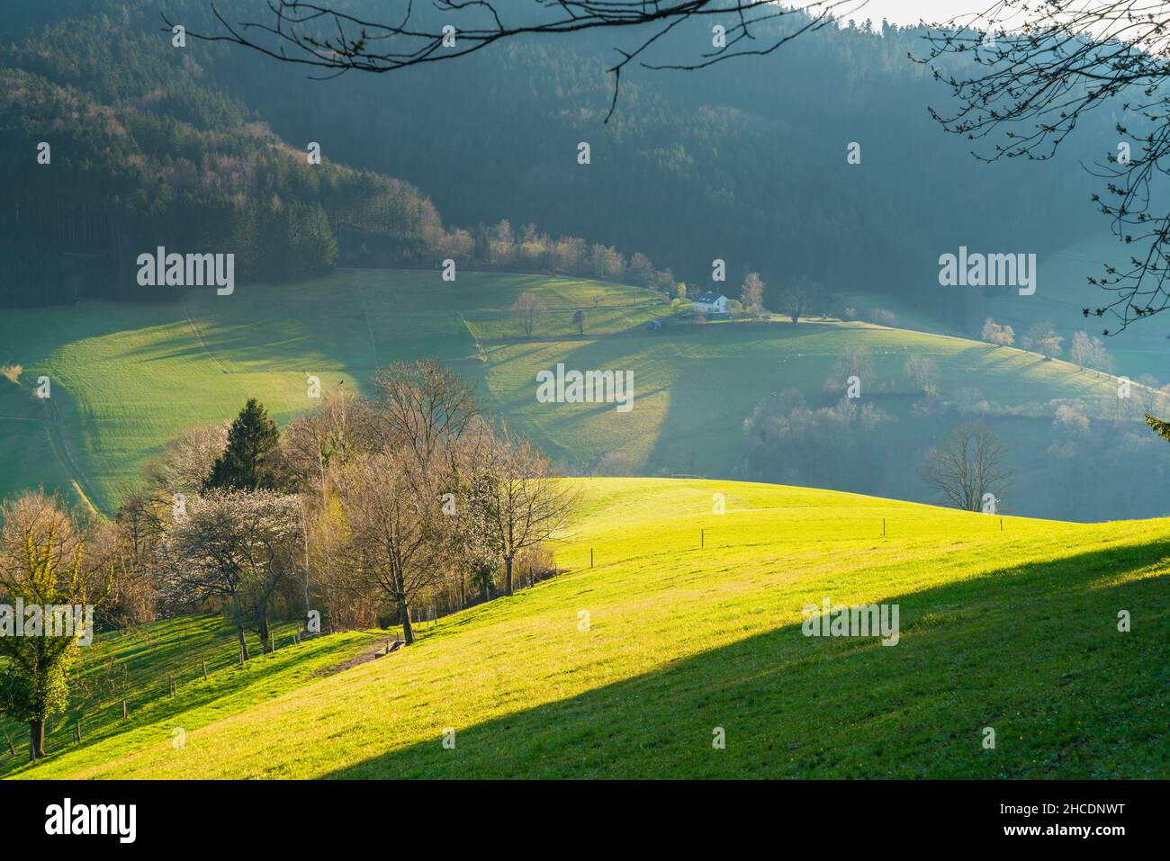 Germany, black forest nature landscape view mountains and hills of ...