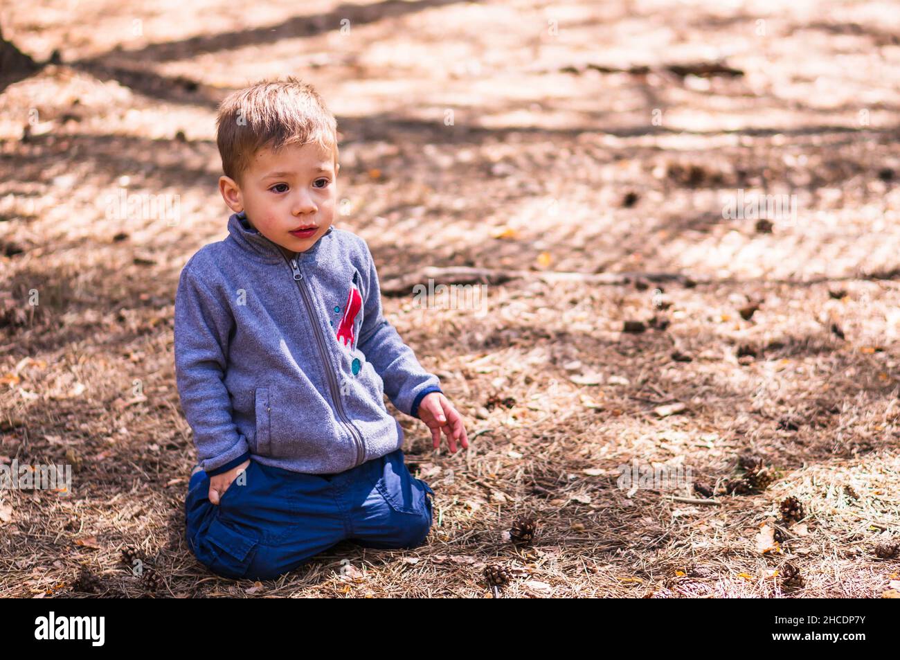 Polish child sitting on the sand in the playground of the park Stock ...