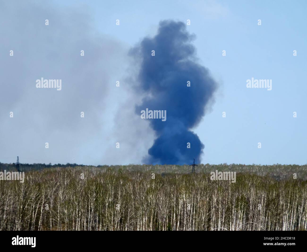The forest fire is starting. A thermal column of smoke rises into the ...