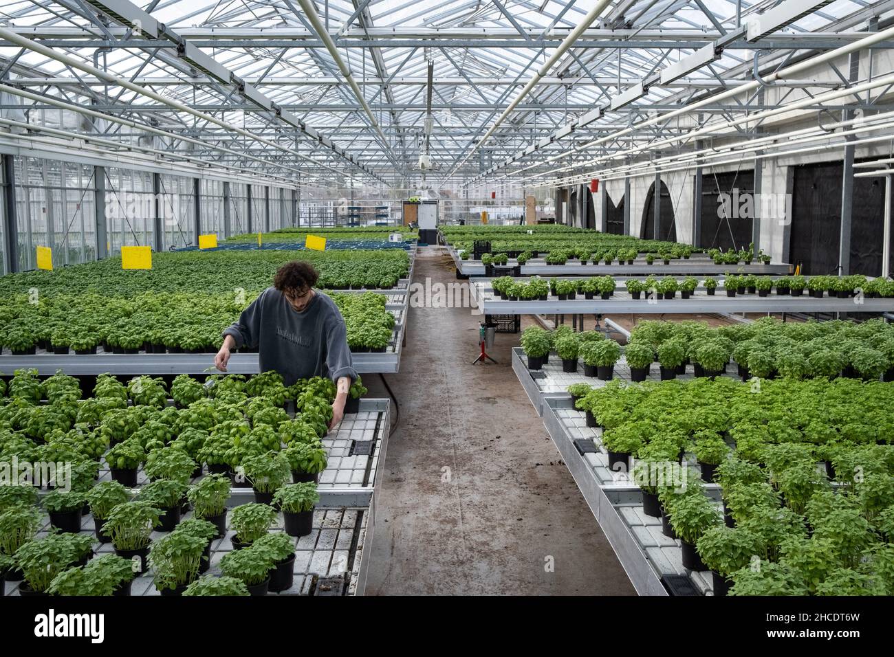 Belgium, Brussels, 2020-10-28. The Slaughterhouse Farm, the first ...