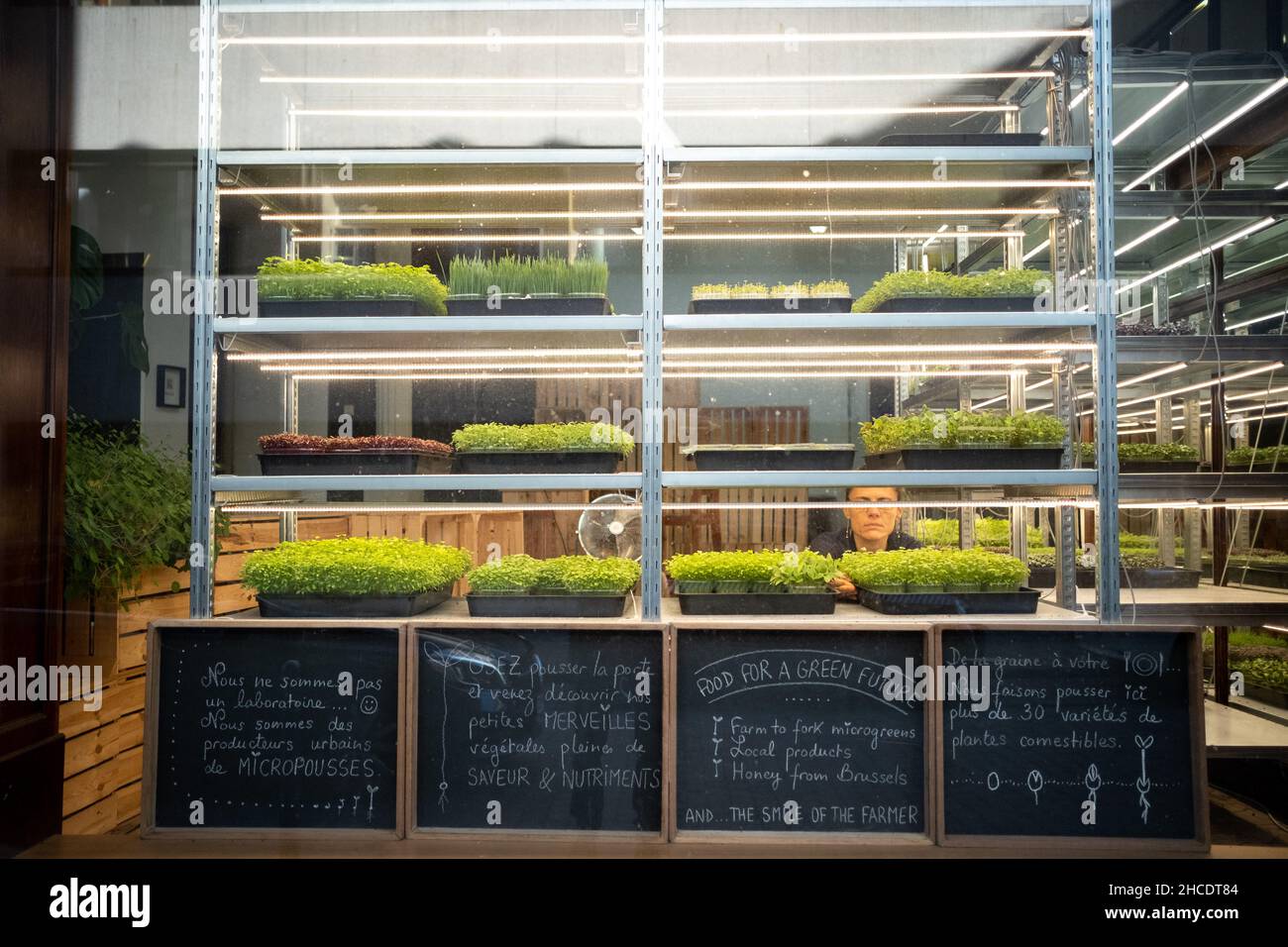 Belgium, Brussels, 2020-11-03. URBI Leaf, an urban farm dedicated to ...