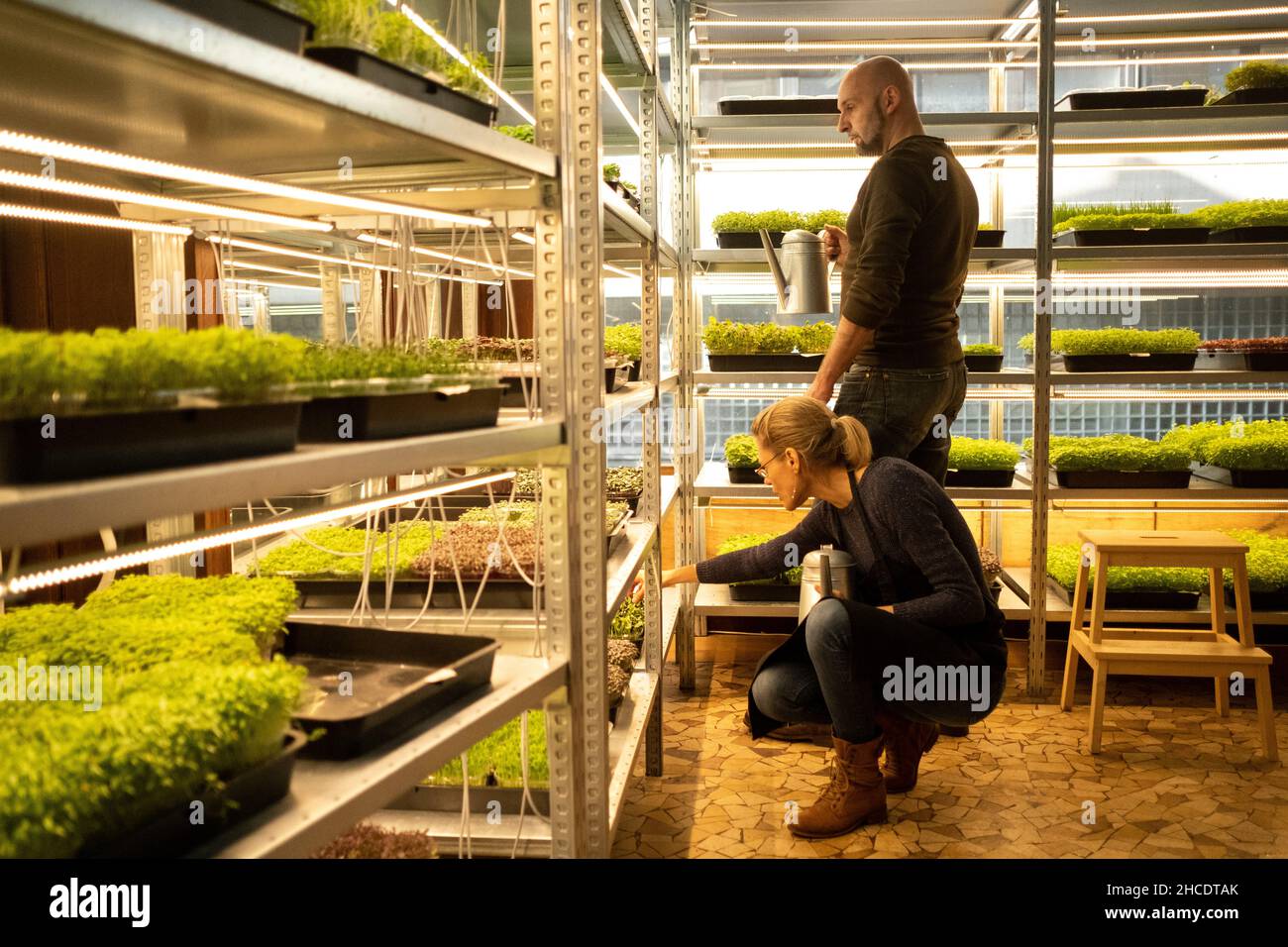 Belgium, Brussels, 2020-11-03. URBI Leaf, an urban farm dedicated to ...