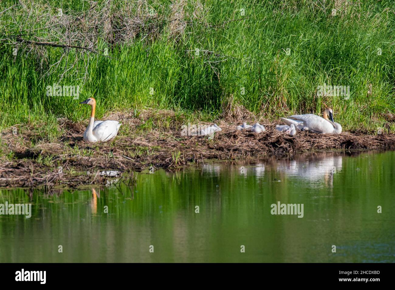 Minnesota national wildlife refuge hi-res stock photography and images ...