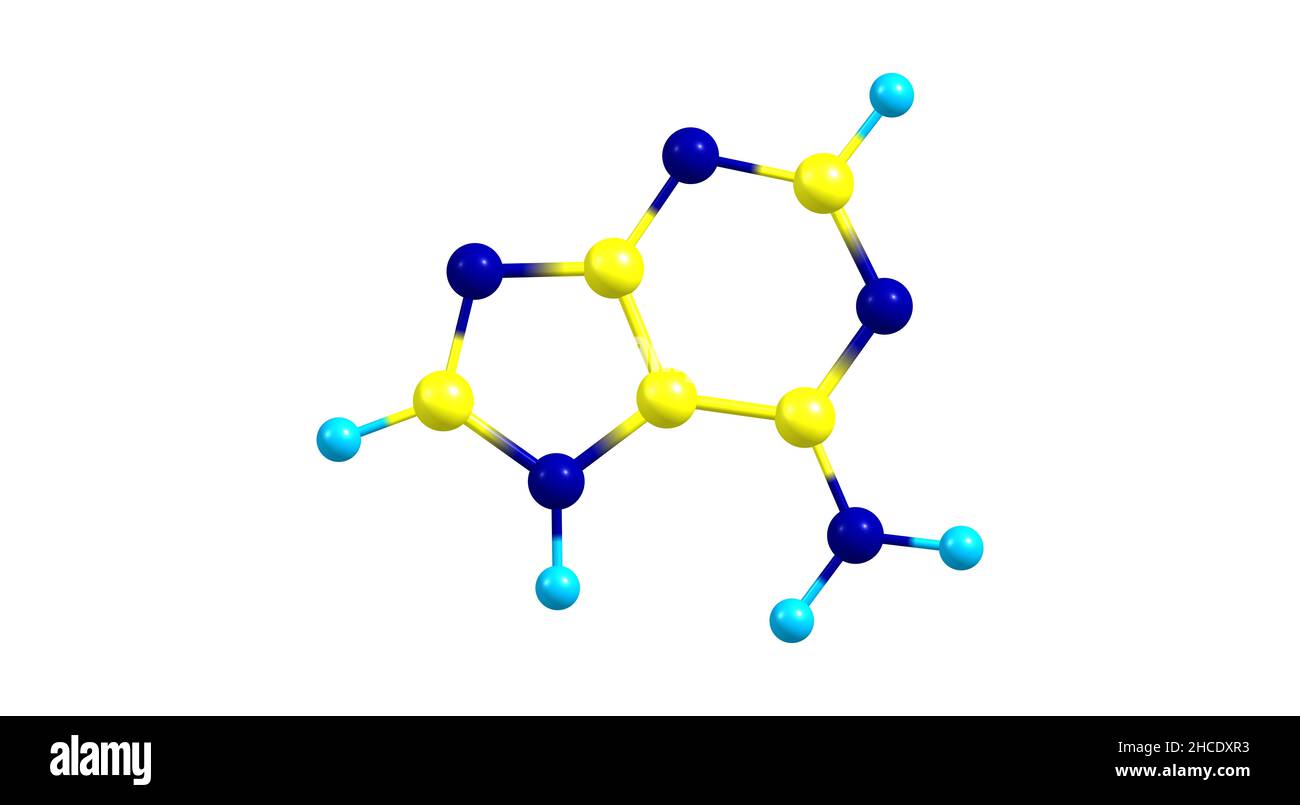 Adenine is a nucleobase, a purine derivative. It is one of the four ...