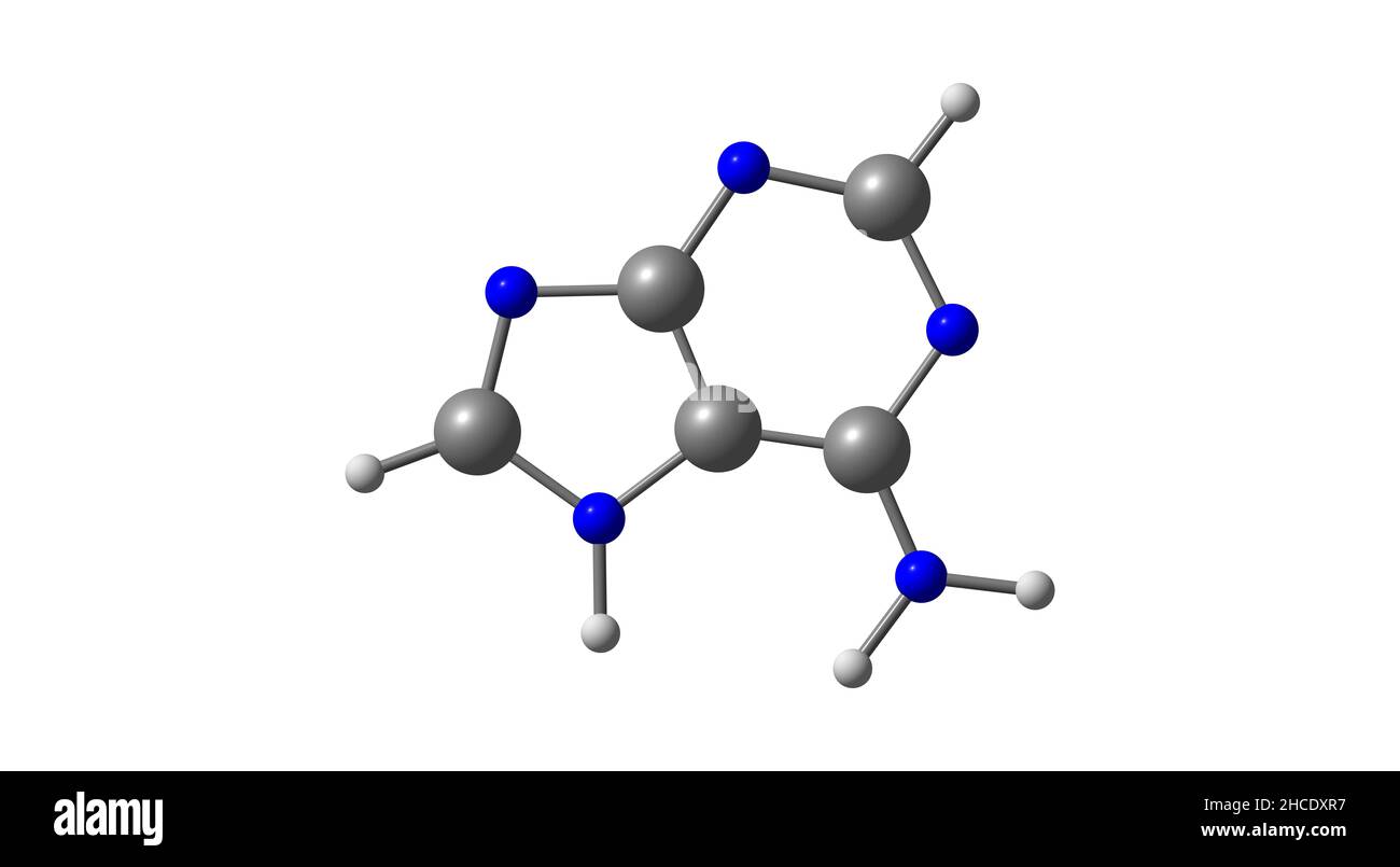 Adenine is a nucleobase, a purine derivative. It is one of the four ...