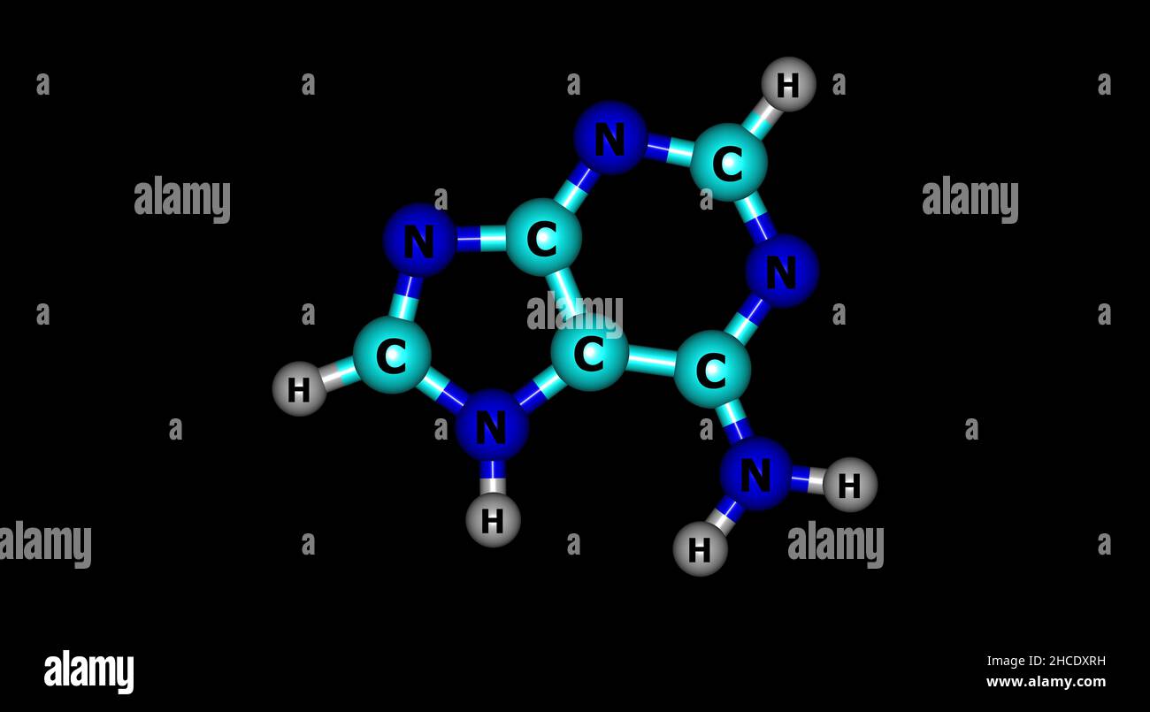 Adenine is a nucleobase, a purine derivative. It is one of the four ...