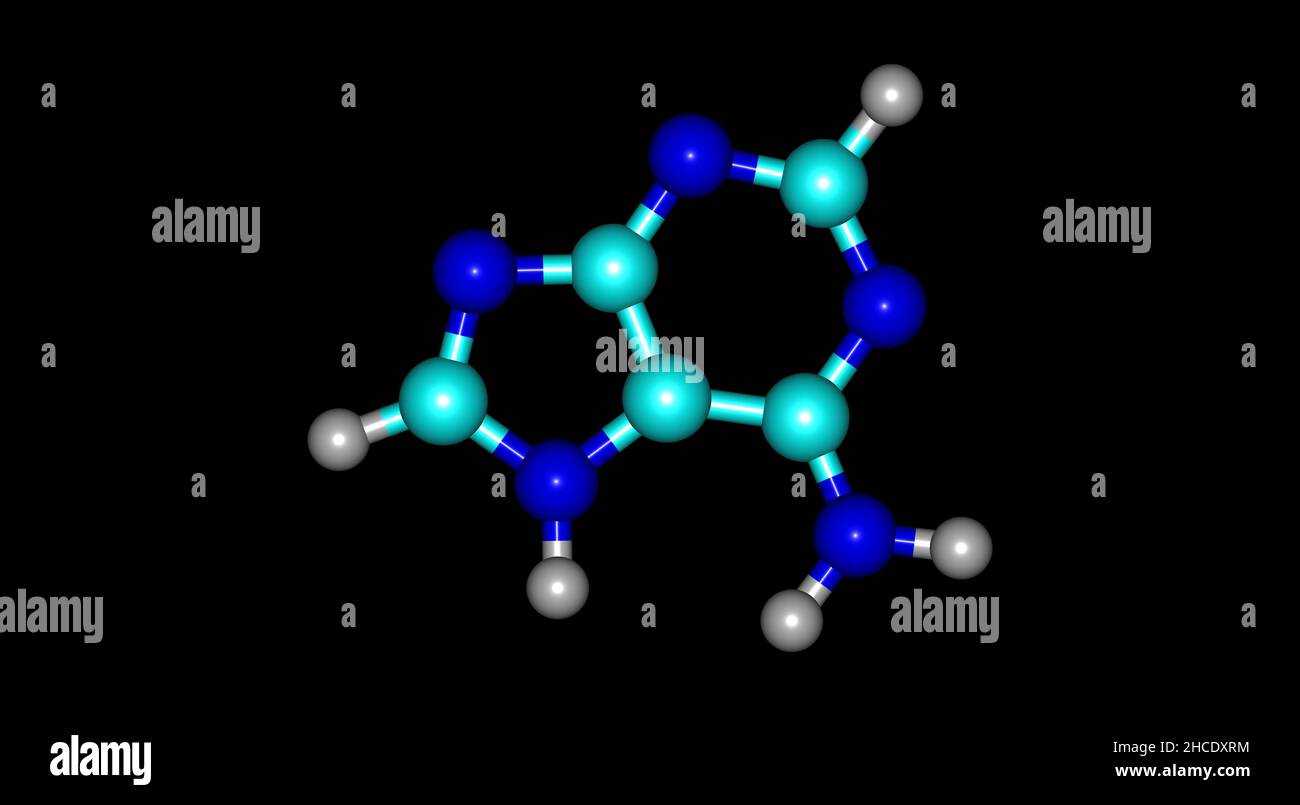 Adenine is a nucleobase, a purine derivative. It is one of the four ...