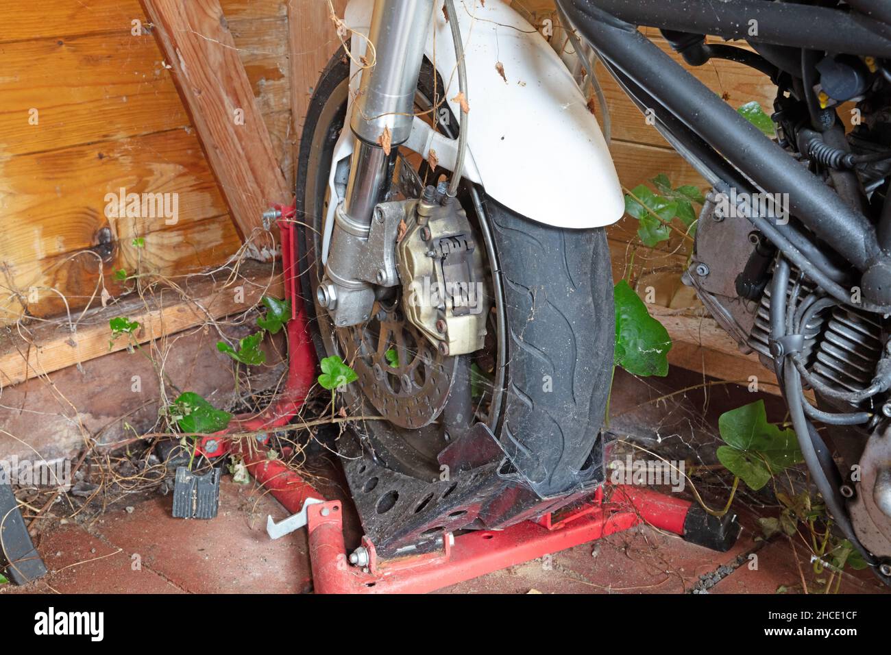 Old and dirty motorcycle in a shed, overgrown, selective focus Stock ...