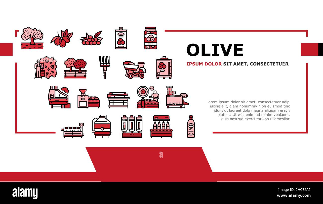 Olive Production And Harvesting Landing Header Vector Stock Vector ...