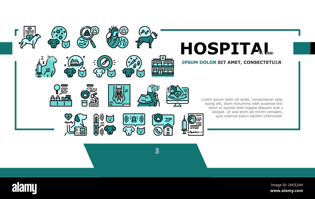 Hospital Pet Health Examination Landing Header Vector Stock Vector Image & Art - Alamy