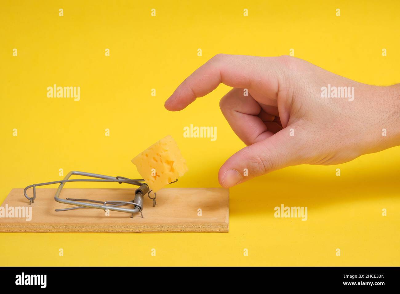 Hand reaches for piece cheese in mousetrap on a yellow background ...