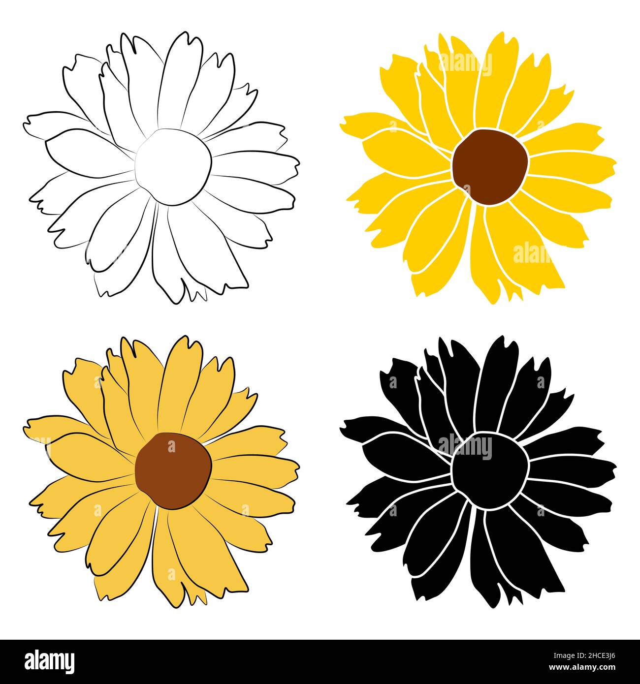 Set of open heliopsis blossom vector illustration isolated on white ...