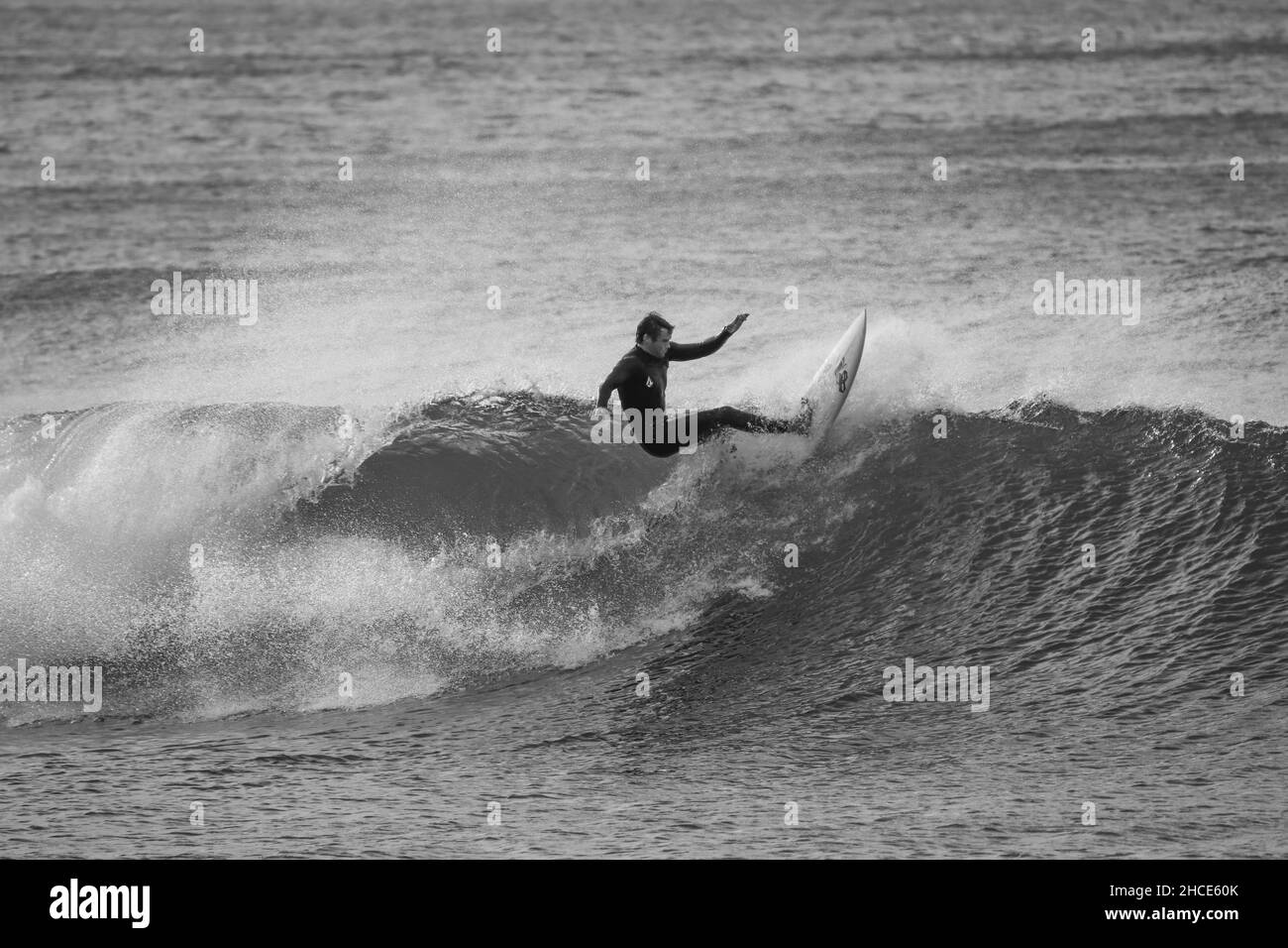 Surfer on a perfect wave at sunny day Stock Photo - Alamy