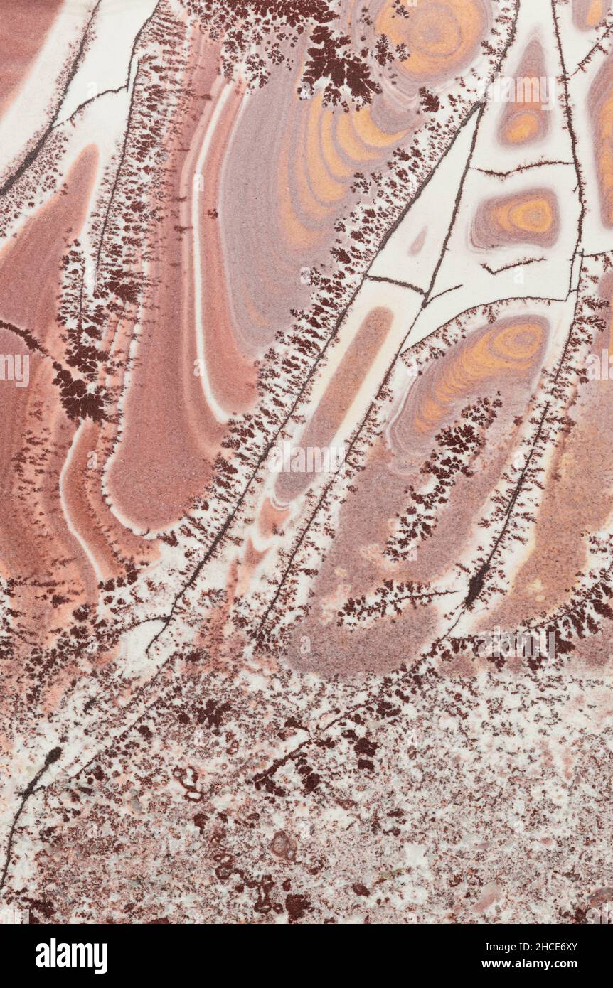 Close up of the patterns and structural detail in a polished slab of ...