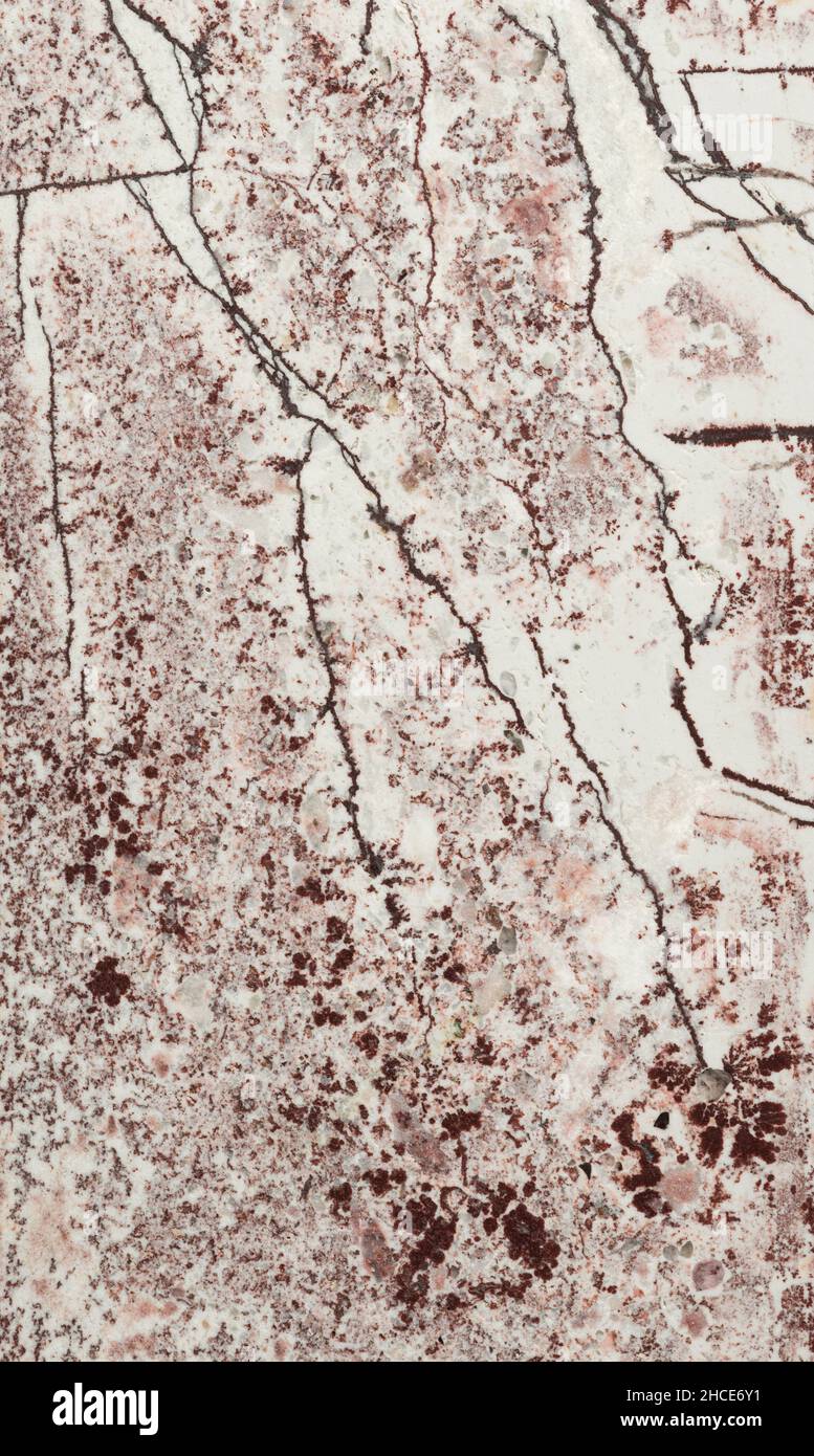 Close up of the patterns and structural detail in a polished slab of ...