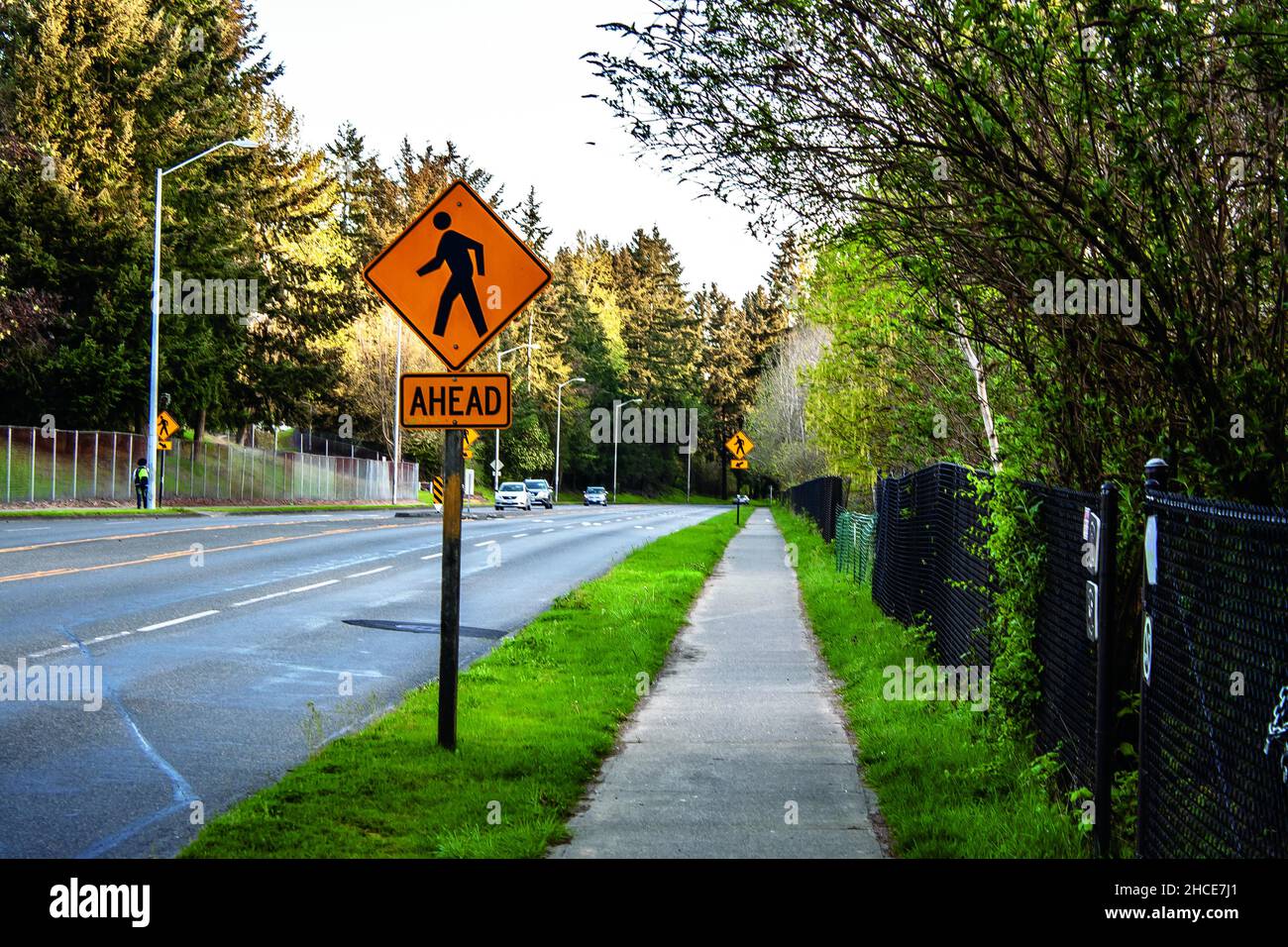 Beautiful view of a road with traffic signs and trees Stock Photo - Alamy
