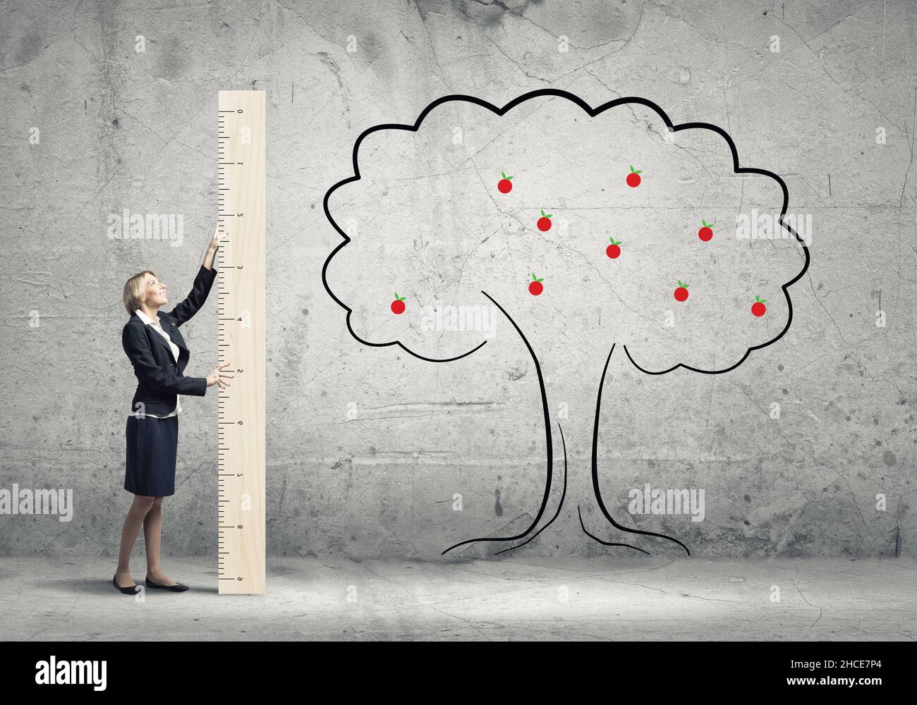 Ruler tree hi-res stock photography and images - Alamy